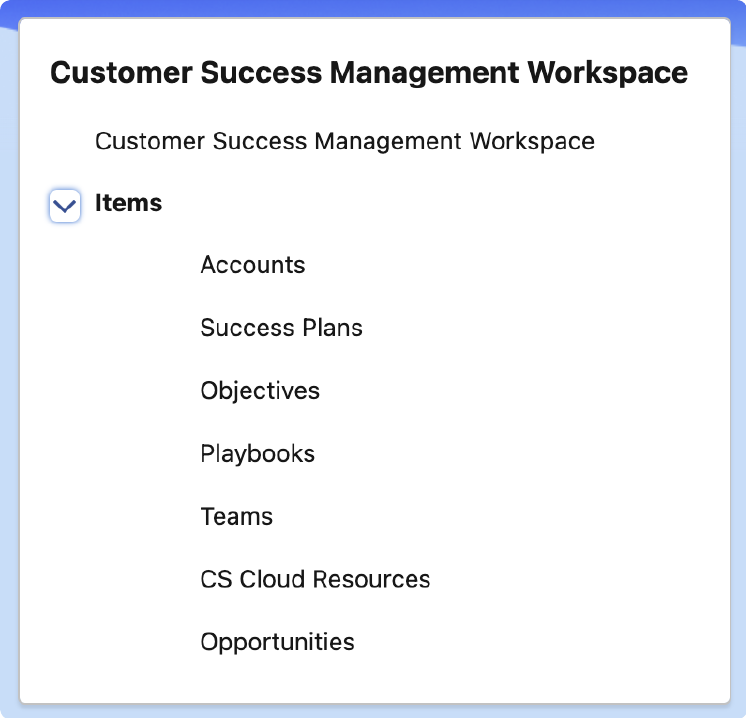 Customer Success Management Workspace